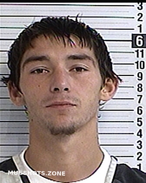 GAVARINSKI STEPHEN MICHAEL THWEATT 01/12/2025 - Bay County Mugshots Zone