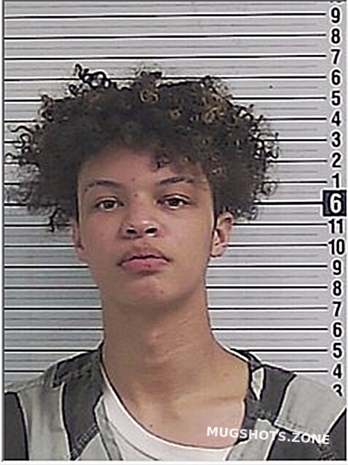 OWENS TERRANCE LAMAR JR 01/13/2025 - Bay County Mugshots Zone