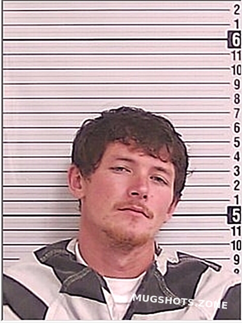 JOHNSON CORY JAYMESON 01/14/2025 - Bay County Mugshots Zone