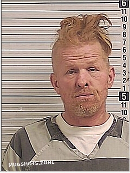 LEE NATHAN DEWAYNE 01/14/2025 - Bay County Mugshots Zone