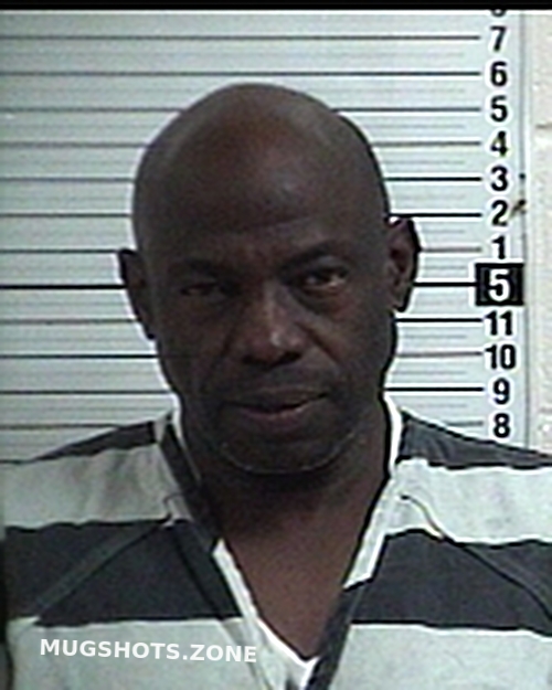 ARMSTEAD DAVID LEE 01/14/2025 - Bay County Mugshots Zone