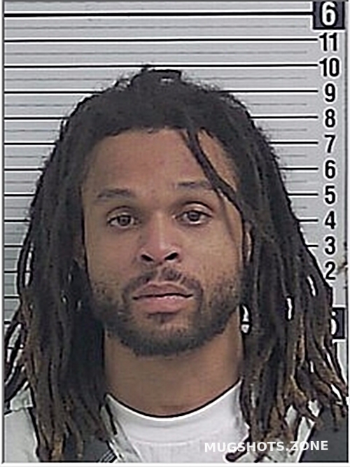 RUSS FRANKLIN RALPH II 01/23/2025 - Bay County Mugshots Zone