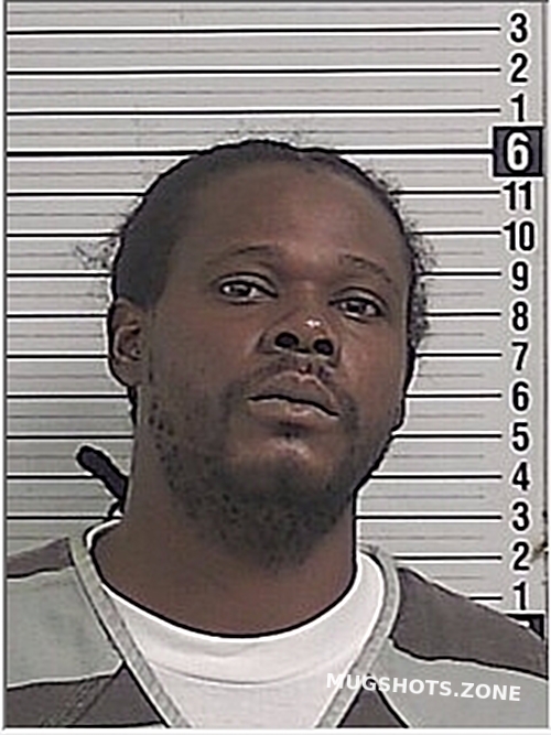 REID REYNOLD SANTIENO 01/24/2025 - Bay County Mugshots Zone