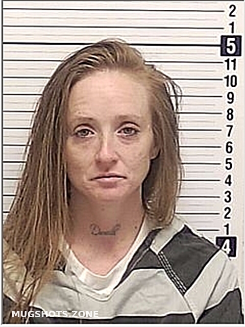 MOSELEY SHAWNA RAE 01/24/2025 - Bay County Mugshots Zone
