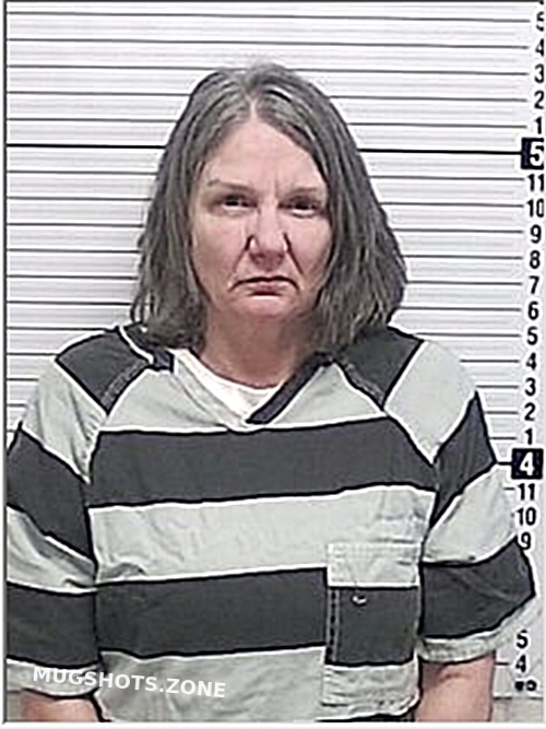 DRAKE STACY LYNN 01/25/2025 - Bay County Mugshots Zone