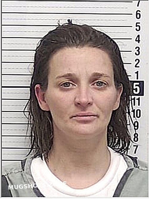 HIRES RACHEL ELIZABETH 01/29/2025 - Bay County Mugshots Zone