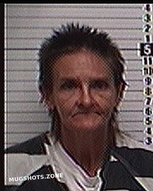 SPINKS KELLY JEAN SHAW 01/30/2025 - Bay County Mugshots Zone