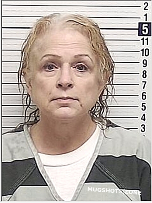 COFFEE RENEE ANN 01/31/2025 - Bay County Mugshots Zone
