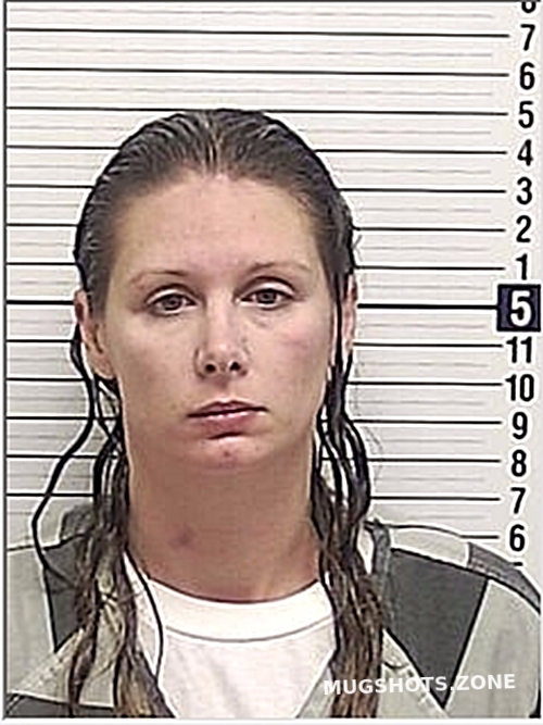 NICHOLSON MOLLY ANNE 01/31/2025 - Bay County Mugshots Zone