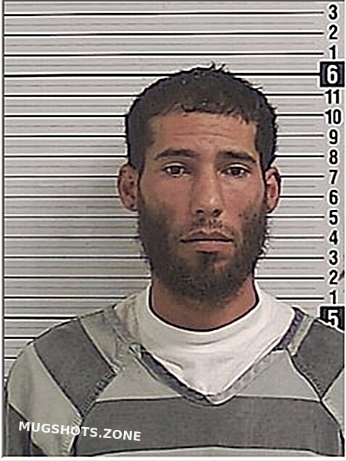 RIVERA PEREZ SERGIO RUBEN 02/01/2025 - Bay County Mugshots Zone