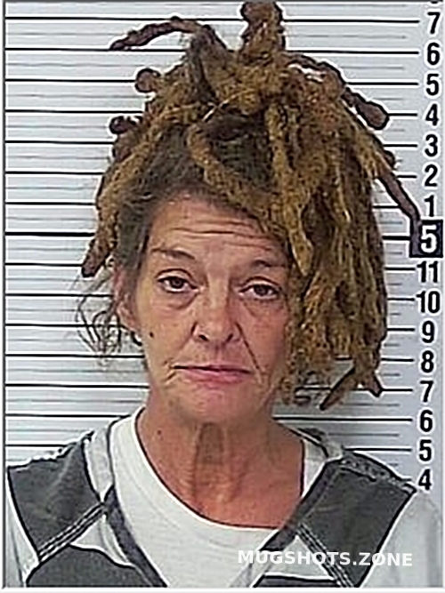 JOHNSON CHRISTINE 02/03/2025 - Bay County Mugshots Zone