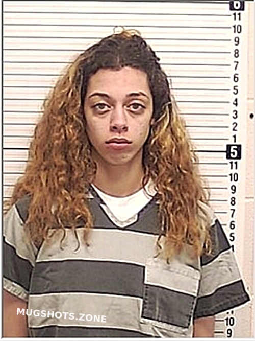 AKINS TRINITY KYONA 02/04/2025 - Bay County Mugshots Zone