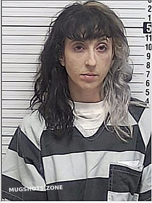 SHIFTAN SAVANNAH CHRISTINA 02/09/2025 - Bay County Mugshots Zone
