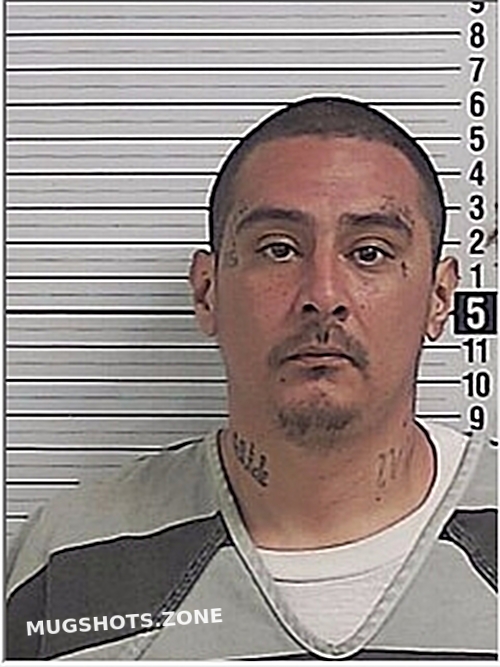 FAUSTO MARK CHRISTOPHER JR 02/11/2025 - Bay County Mugshots Zone