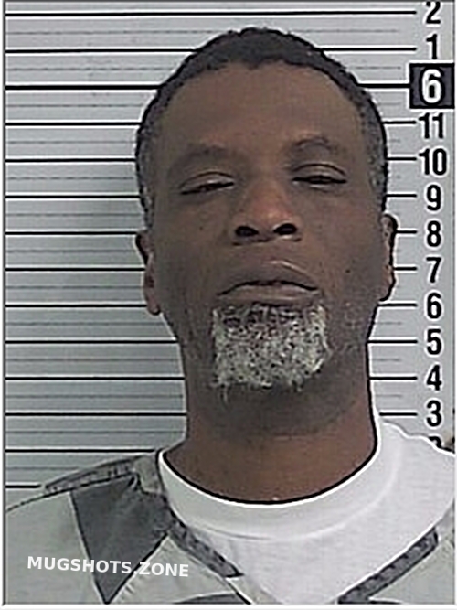 MCCULLOUGH DAVID RASHAD 02/13/2025 - Bay County Mugshots Zone