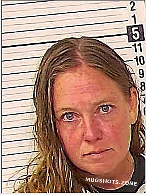 MINICH HEATHER BRIANNA 02/15/2025 - Bay County Mugshots Zone