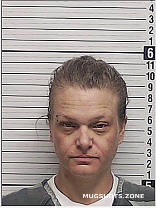 YOHE SHAWNA LEE 02/18/2025 - Bay County Mugshots Zone