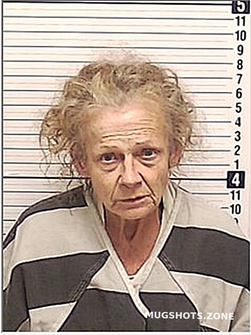 CHRISTIAN KATHELEEN CASS 02/20/2025 - Bay County Mugshots Zone