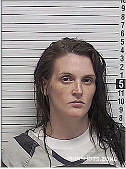 MCCALL AMBER DAWN 02/21/2025 - Bay County Mugshots Zone