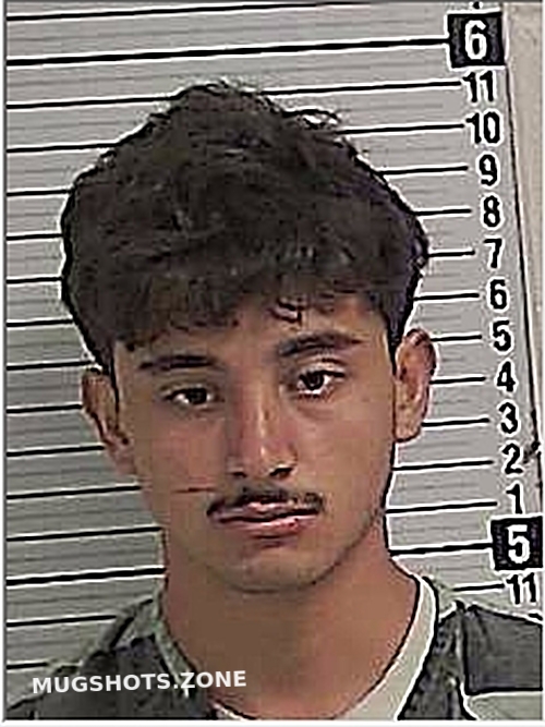 MANRIQUE MORENO JUAN CAMILO 02/23/2025 - Bay County Mugshots Zone