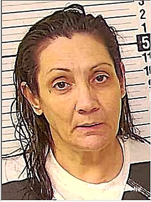 HARRISON MELISSA ANN GREER 02/24/2025 - Bay County Mugshots Zone