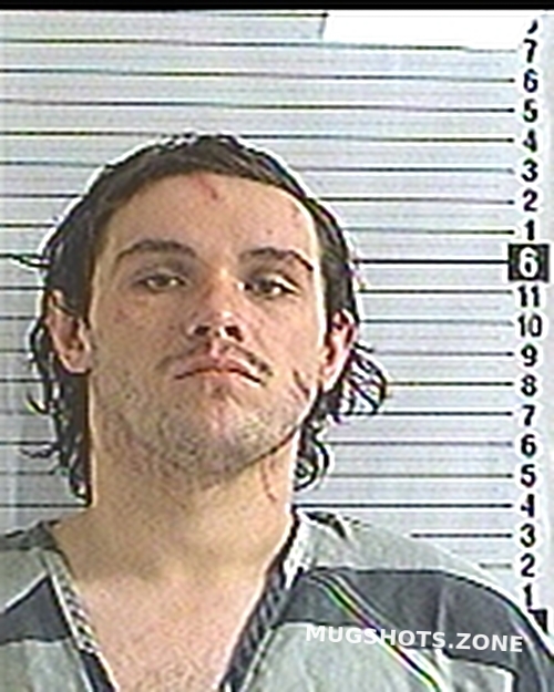 LARSON JUSTIN EDWARD 03/02/2025 - Bay County Mugshots Zone