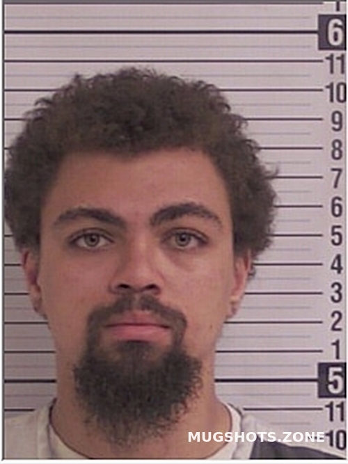 FORNEY CAMERON ISAIAH 03/06/2025 - Bay County Mugshots Zone