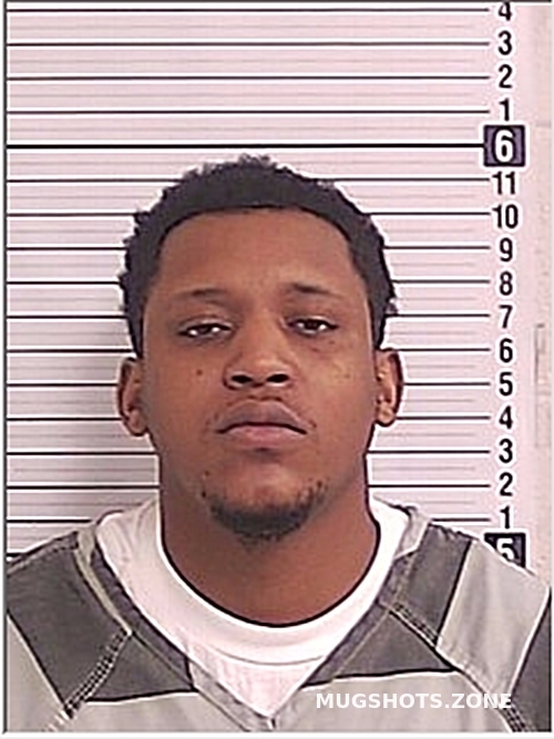 MAXWELL VIDAL MASHUN 03/08/2025 - Bay County Mugshots Zone