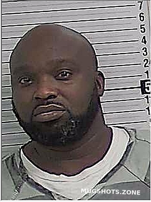 BROWN DONNELL 03/11/2025 - Bay County Mugshots Zone