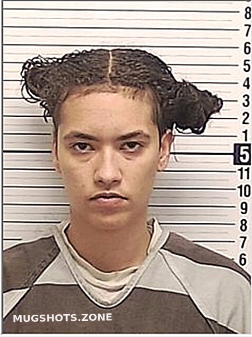 VALDIVIA KAYLA JEWELENE 03/12/2025 - Bay County Mugshots Zone
