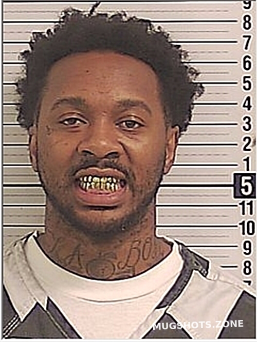 DALEY RYAN ONEIL 03/14/2025 - Bay County Mugshots Zone