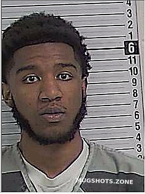 ROGERS DAMONTAE QUONTAVIOUS 03/14/2025 - Bay County Mugshots Zone