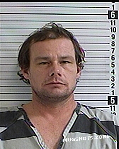 WILSON GENE VOLNEY 03/14/2025 - Bay County Mugshots Zone