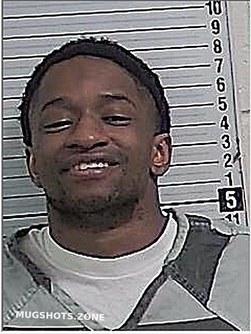 NICKENS SHAKEEM ELIJAWON 03/15/2025 - Bay County Mugshots Zone