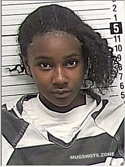 JOHNSON SHADIAMOND SHAKIDA 03/16/2025 - Bay County Mugshots Zone