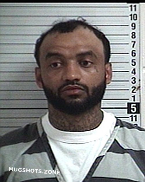 TELFAIR JEROME ALEXANDER 03/18/2025 - Bay County Mugshots Zone