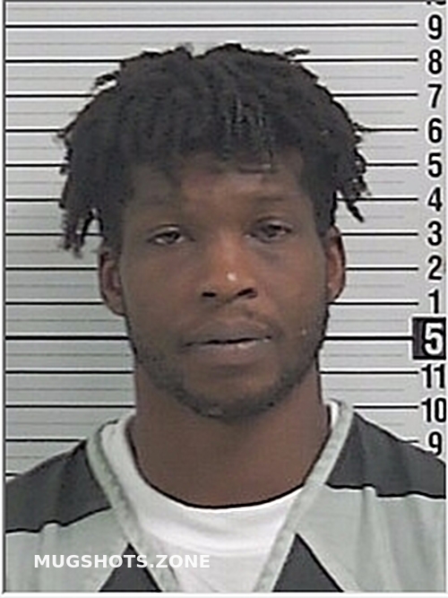 WILLIAMS DERRICK LLOYD JR 03/19/2025 - Bay County Mugshots Zone