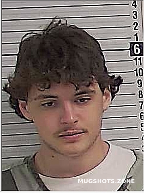 MOATES THOMAS HARRIS 03/23/2025 - Bay County Mugshots Zone