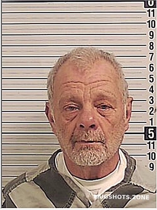 KLINGER RONNIE JOSEPH 03/25/2025 - Bay County Mugshots Zone