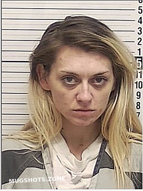SCELFO MEGAN ELIZABETH 03/27/2025 - Bay County Mugshots Zone