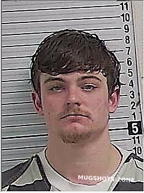 DAVIDSON DEVIN PAYTON 03/28/2025 - Bay County Mugshots Zone