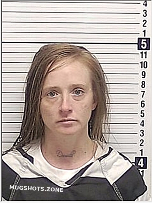 MOSELEY SHAWNA RAE 03/29/2025 - Bay County Mugshots Zone