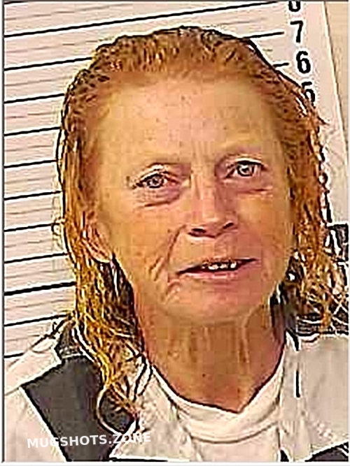 HALFORD TAMMY CAROL 03/30/2025 - Bay County Mugshots Zone