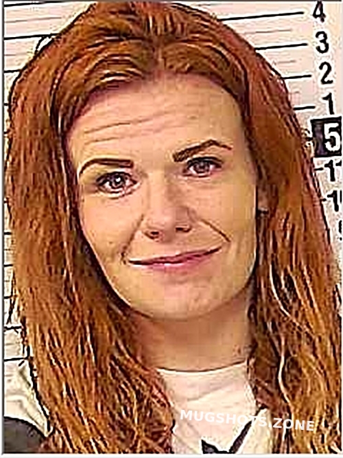 DAVIS JESSICA ANNE MARIE 04/02/2025 - Bay County Mugshots Zone