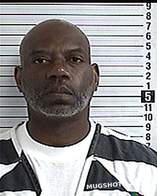 DAVIS LEON LEONARD JR 04/04/2025 - Bay County Mugshots Zone