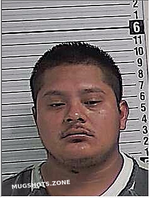 MORALES-ULLOA MARCOS 04/06/2025 - Bay County Mugshots Zone