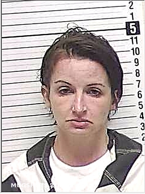BRISCOE ERICA LEE 04/08/2025 - Bay County Mugshots Zone