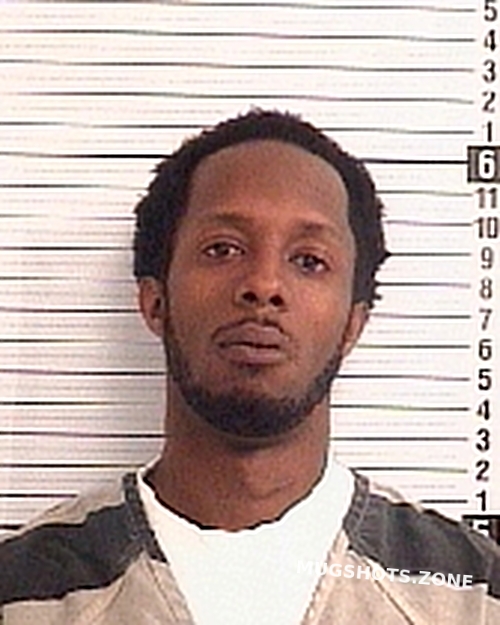 LEE RONALD DEON 04/08/2025 - Bay County Mugshots Zone