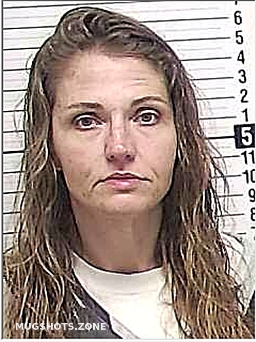 GRIFFIN HEATHER RENE 04/15/2025 - Bay County Mugshots Zone