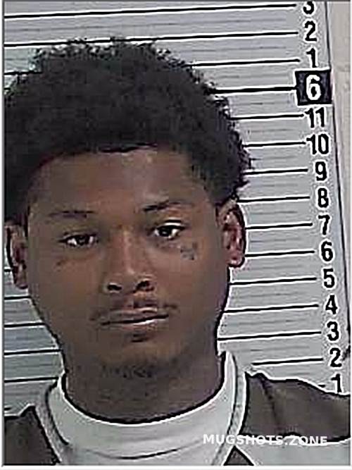 CHHOEUNG DAMIEN MARRELL 04/17/2025 - Bay County Mugshots Zone